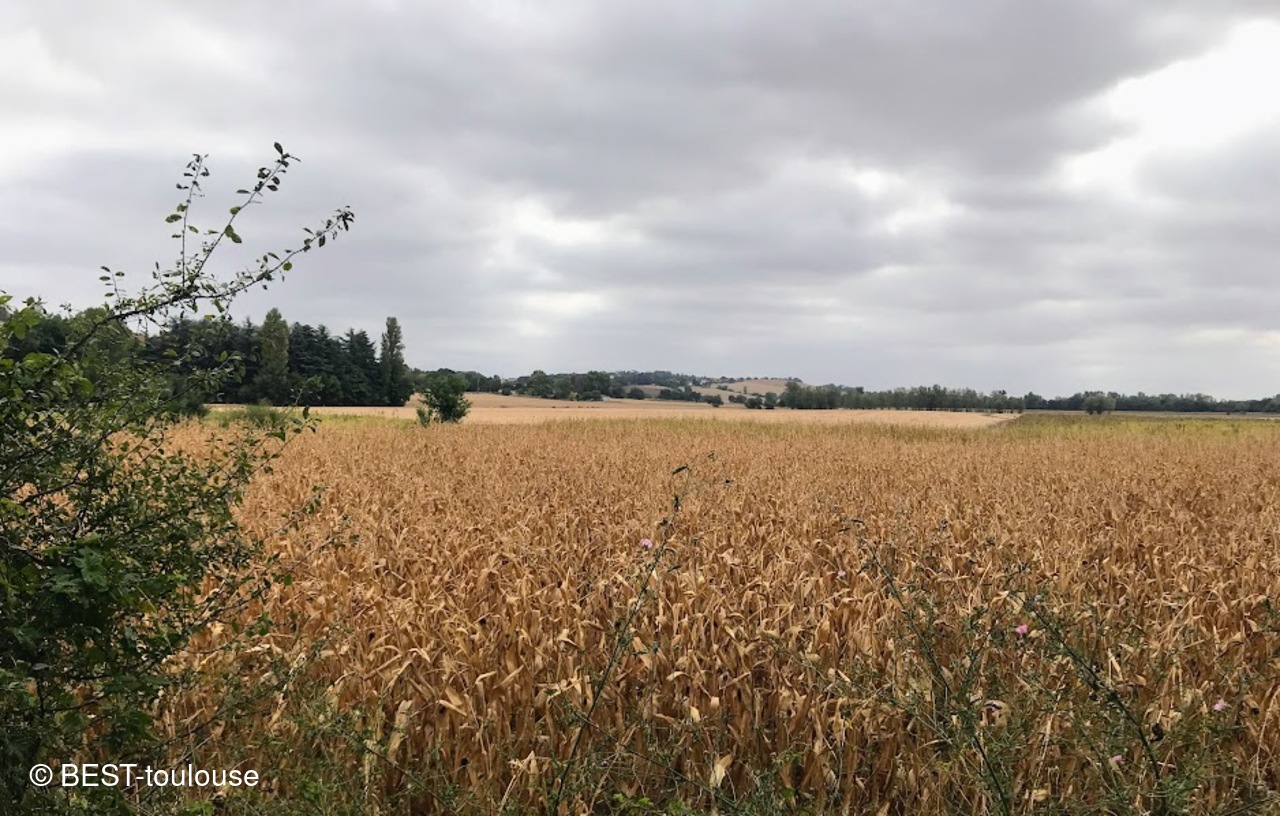 Quint, aux portes du pays de Cocagne