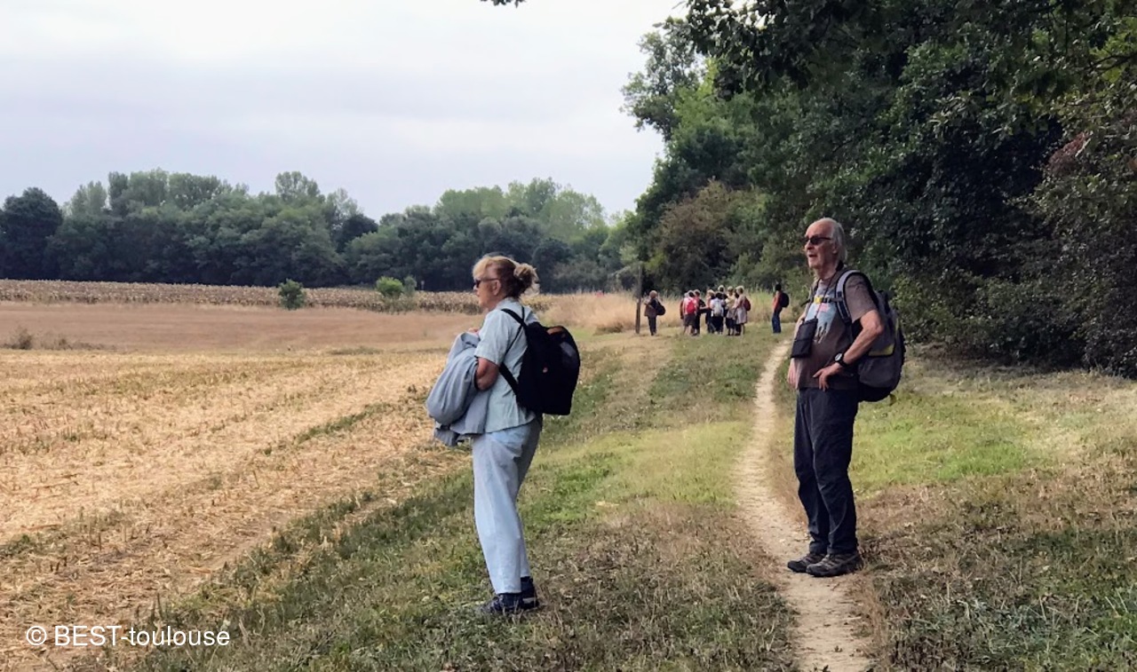 Quint, aux portes du pays de Cocagne